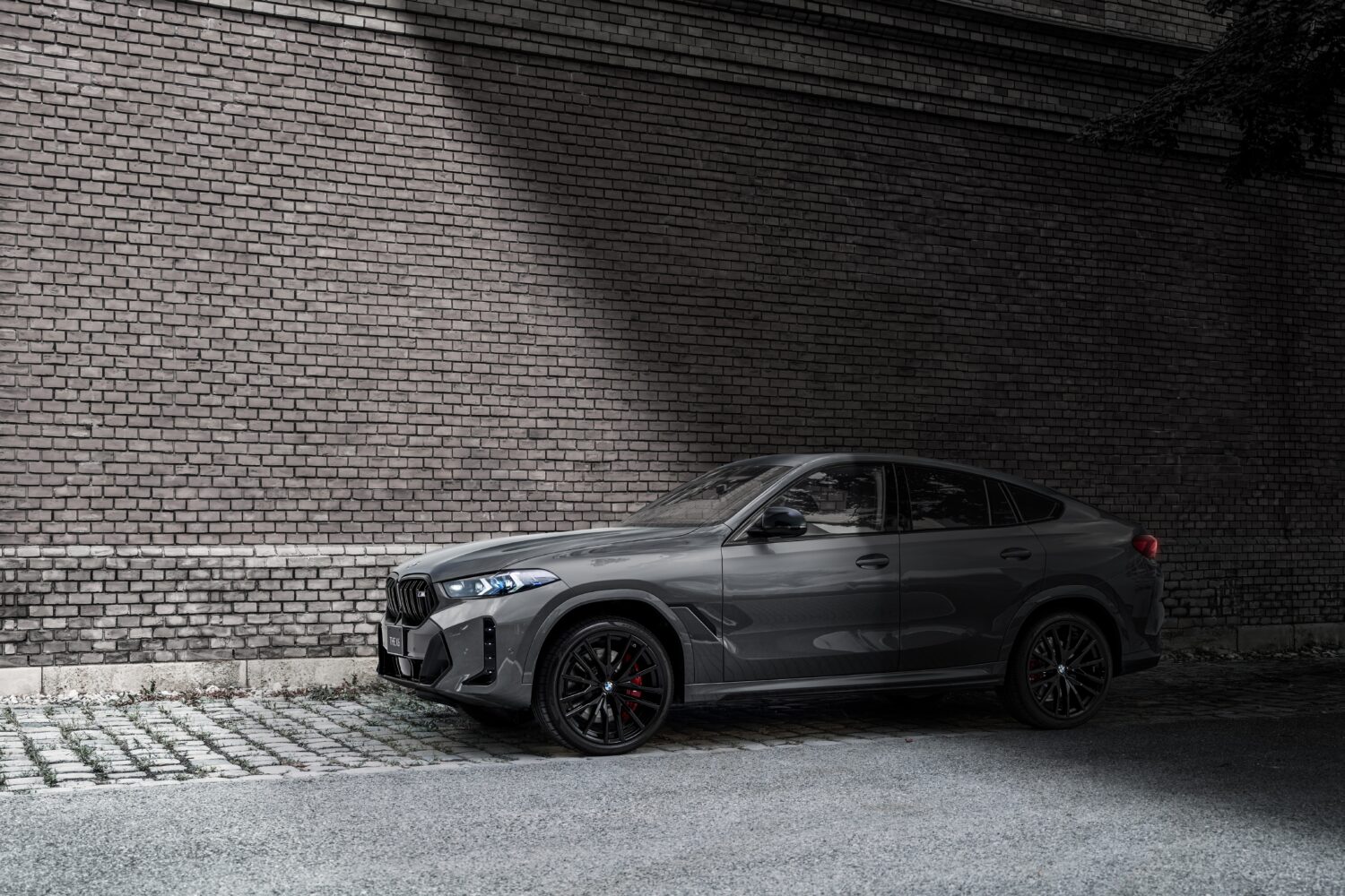 日本限定40台 ブラックをテーマにした限定車 BMW X6エディション・シャドー｜RESENSE｜車を心のサプリメントに